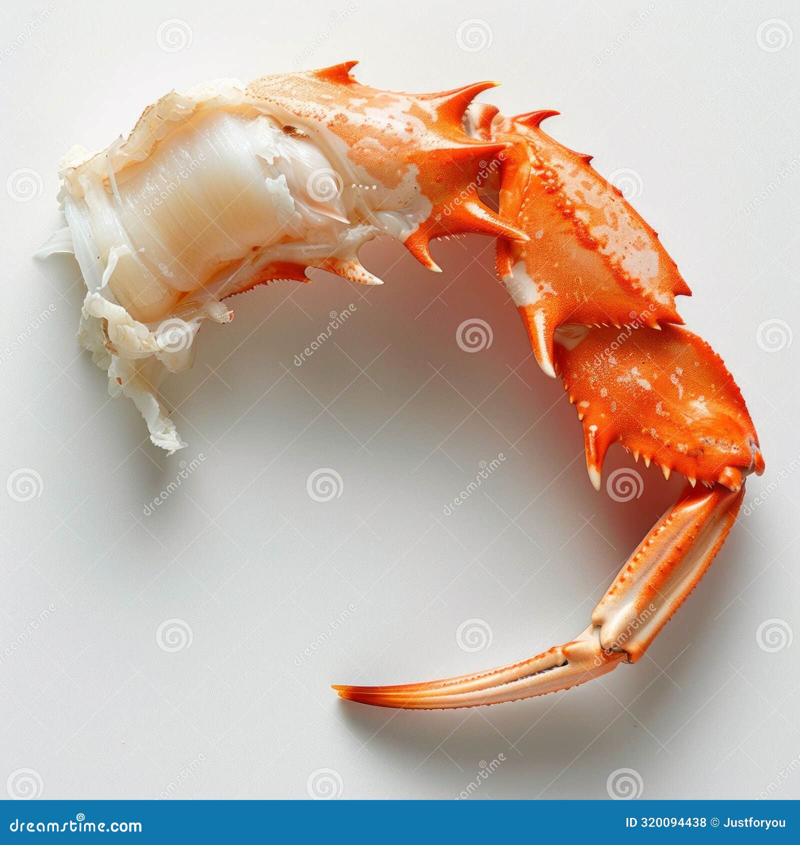 Orange Crab Claw on White Background. Generative Ai Stock Illustration ...
