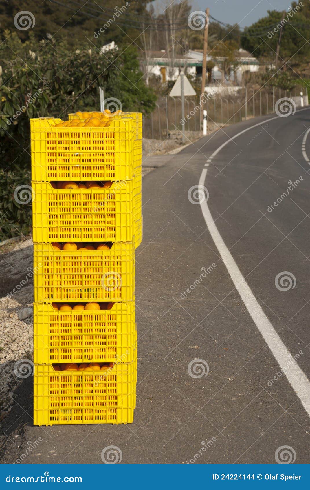 Orange crates stock photo. Image of crate, vertical, harvesting - 24224144