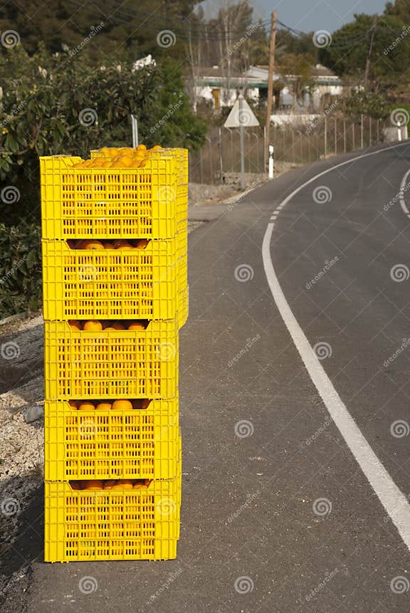 Orange crates stock photo. Image of crate, vertical, harvesting - 24224144