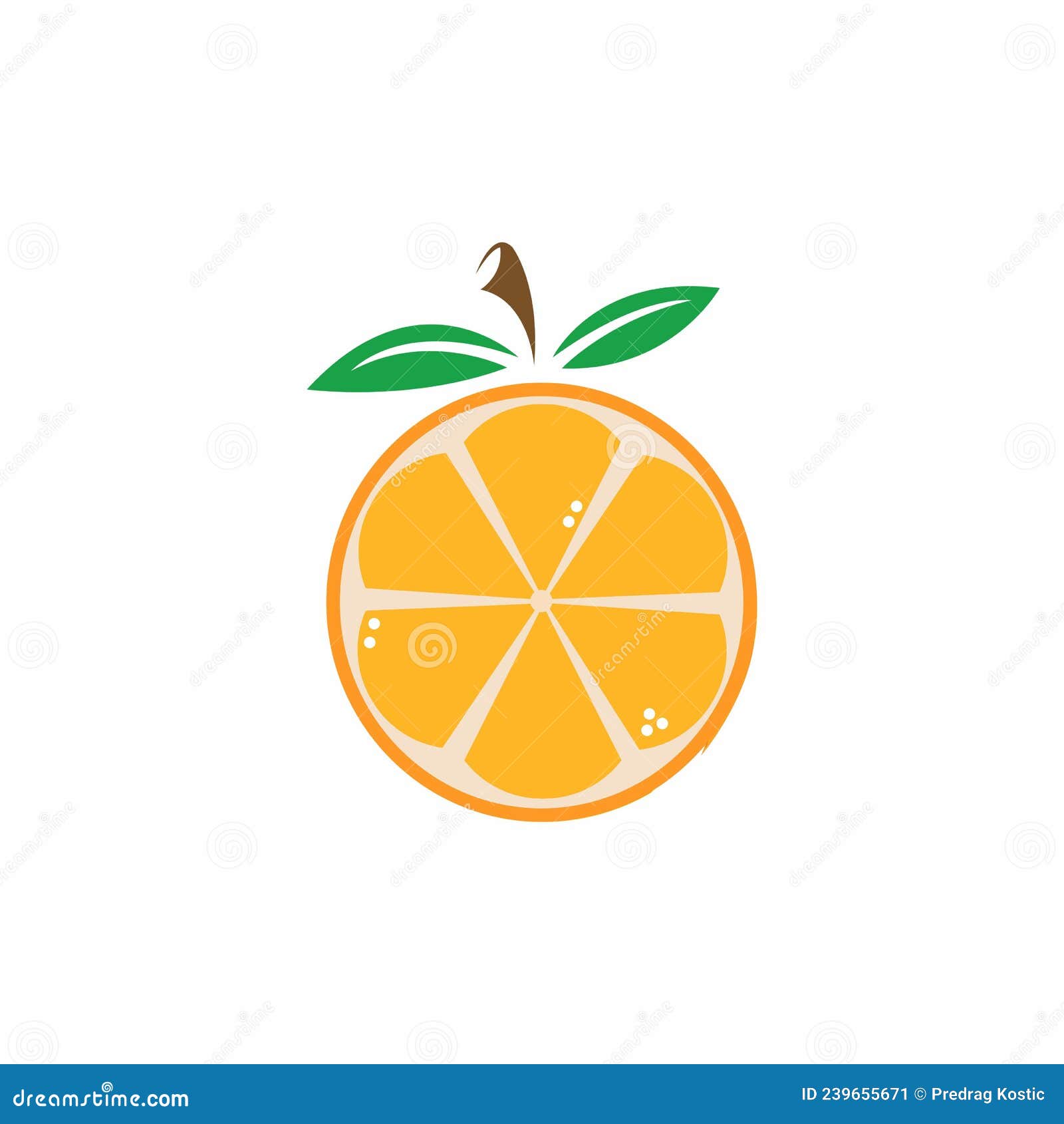 Orange cross section stock illustration. Illustration of yellow - 239655671