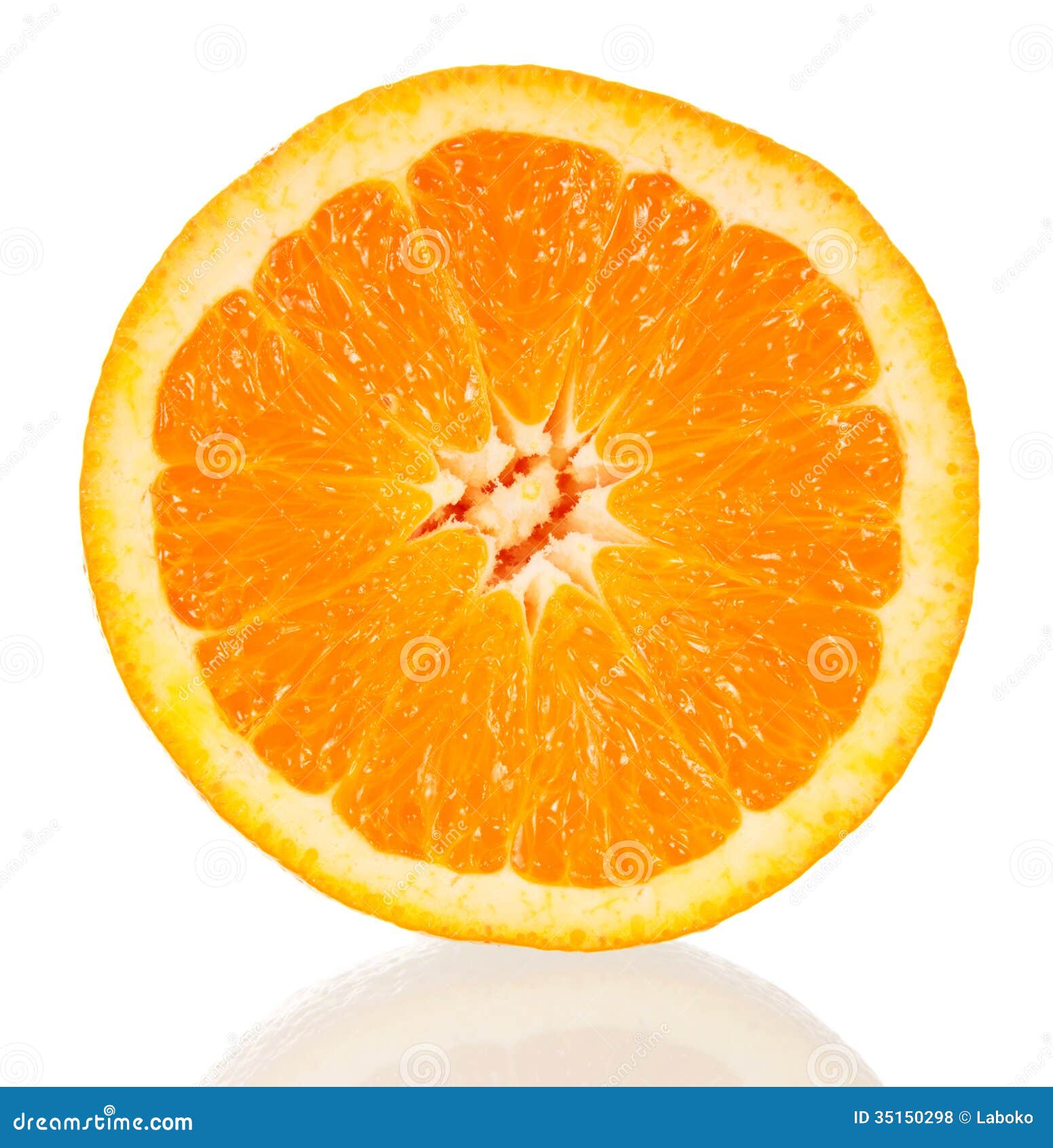 Orange Cross Section Labeled