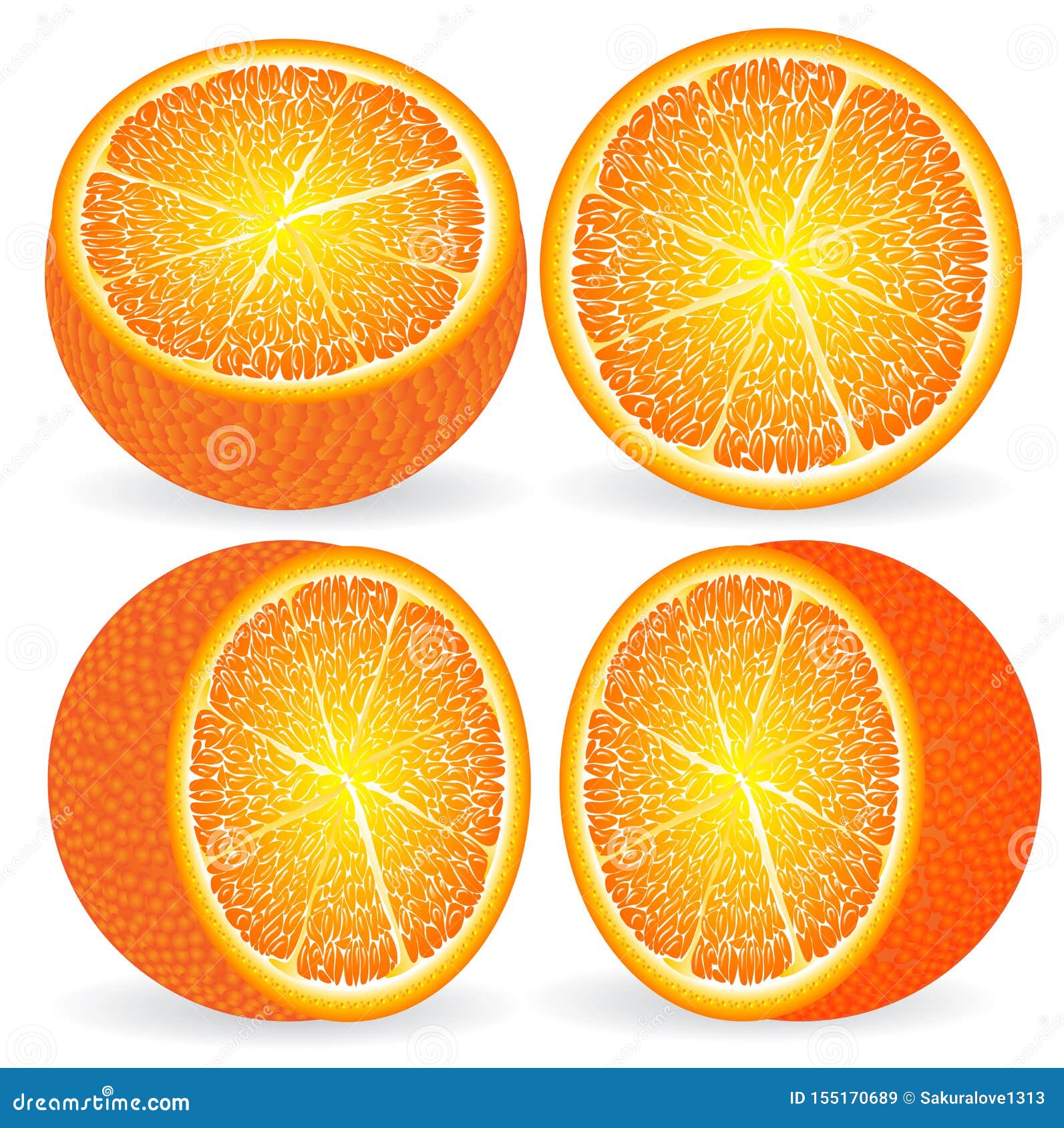 Orange, in a Cut Close-up at Different Angles Stock Illustration ...