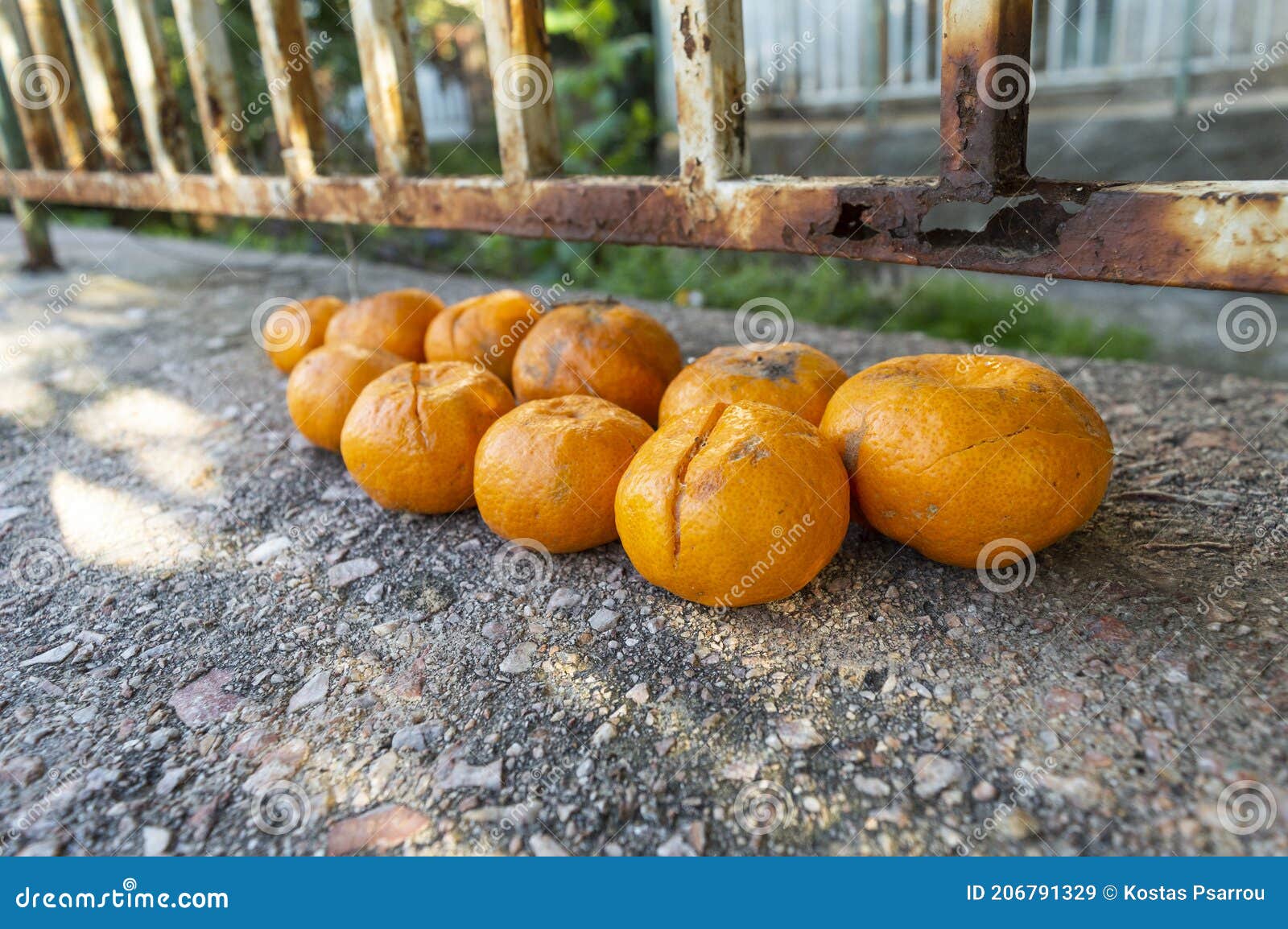 Orange damaged stock image. Image of natural, decay - 206791329