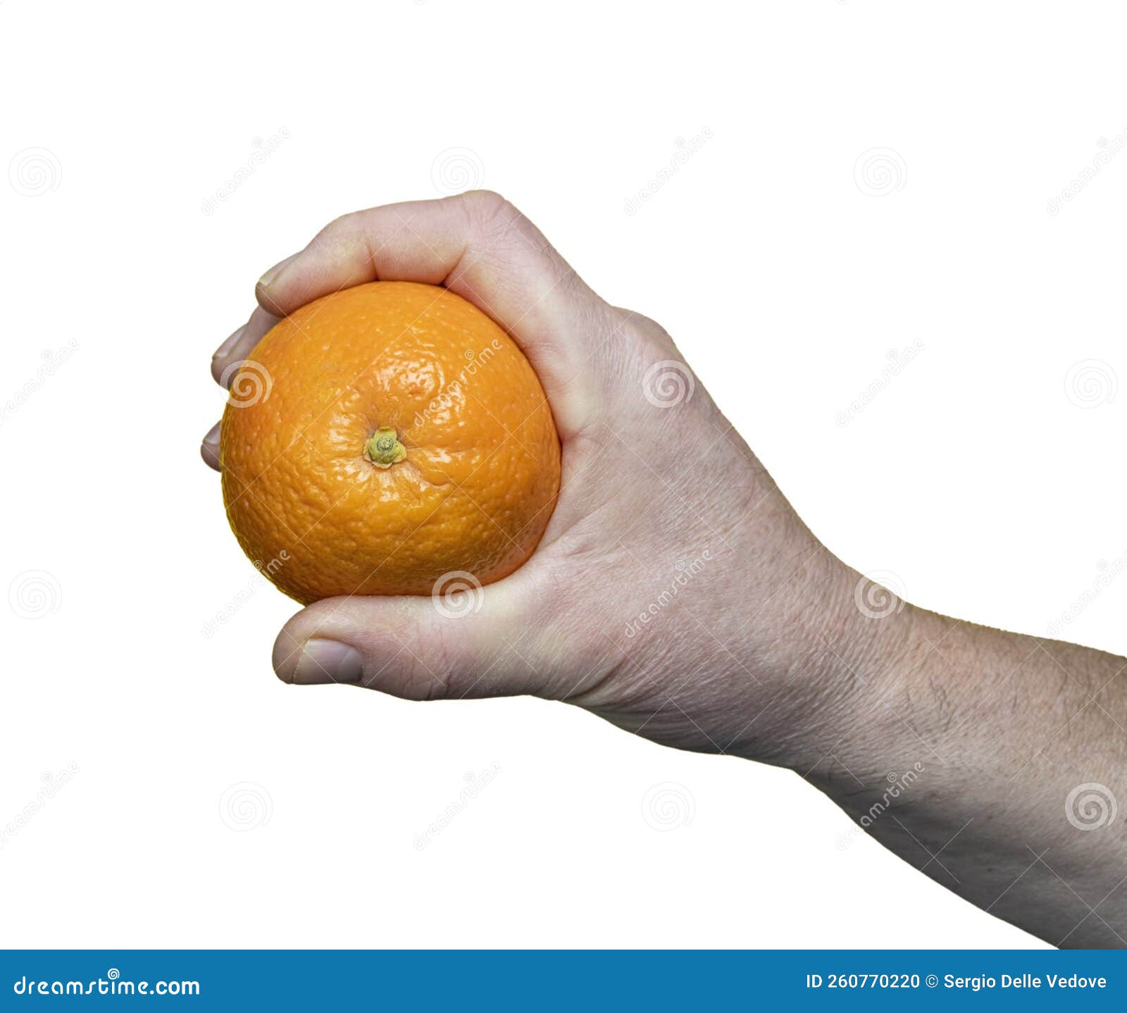 Orange dans la main photo stock. Image du main, dessin - 260770220