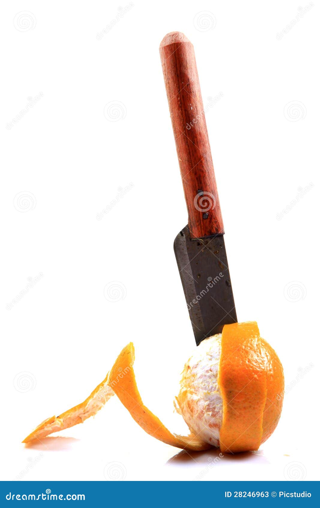 Orange disection stock image. Image of skin, white, orange - 28246963
