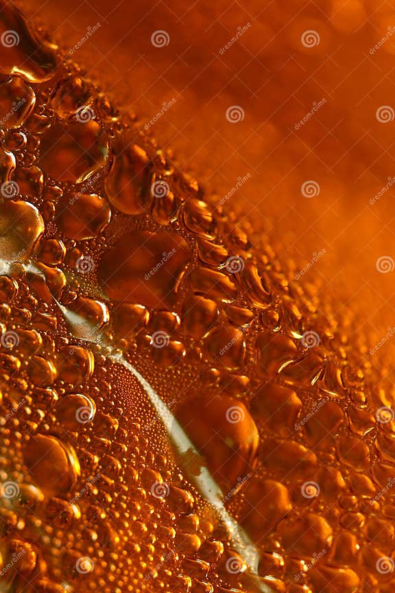 Orange drops stock photo. Image of detail, drop, backgrounds - 3715836