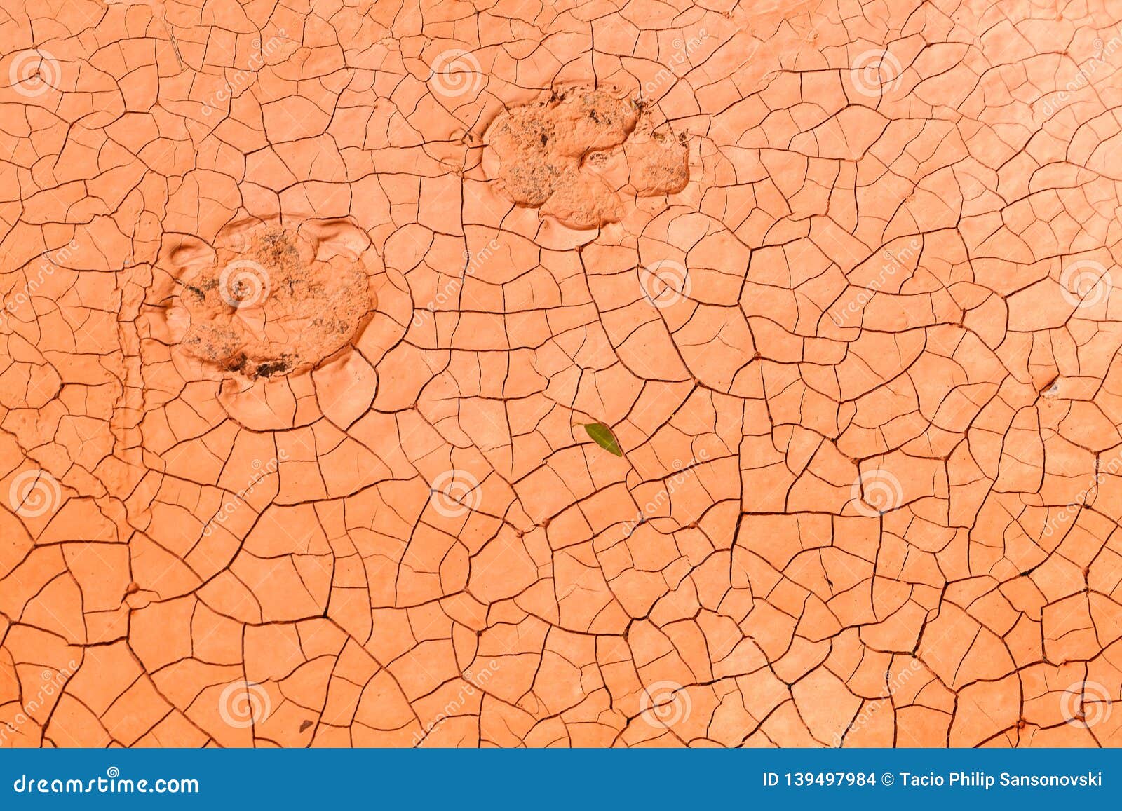 Orange Drought Soil Pattern with Cat Steps - No Water Stock Photo ...