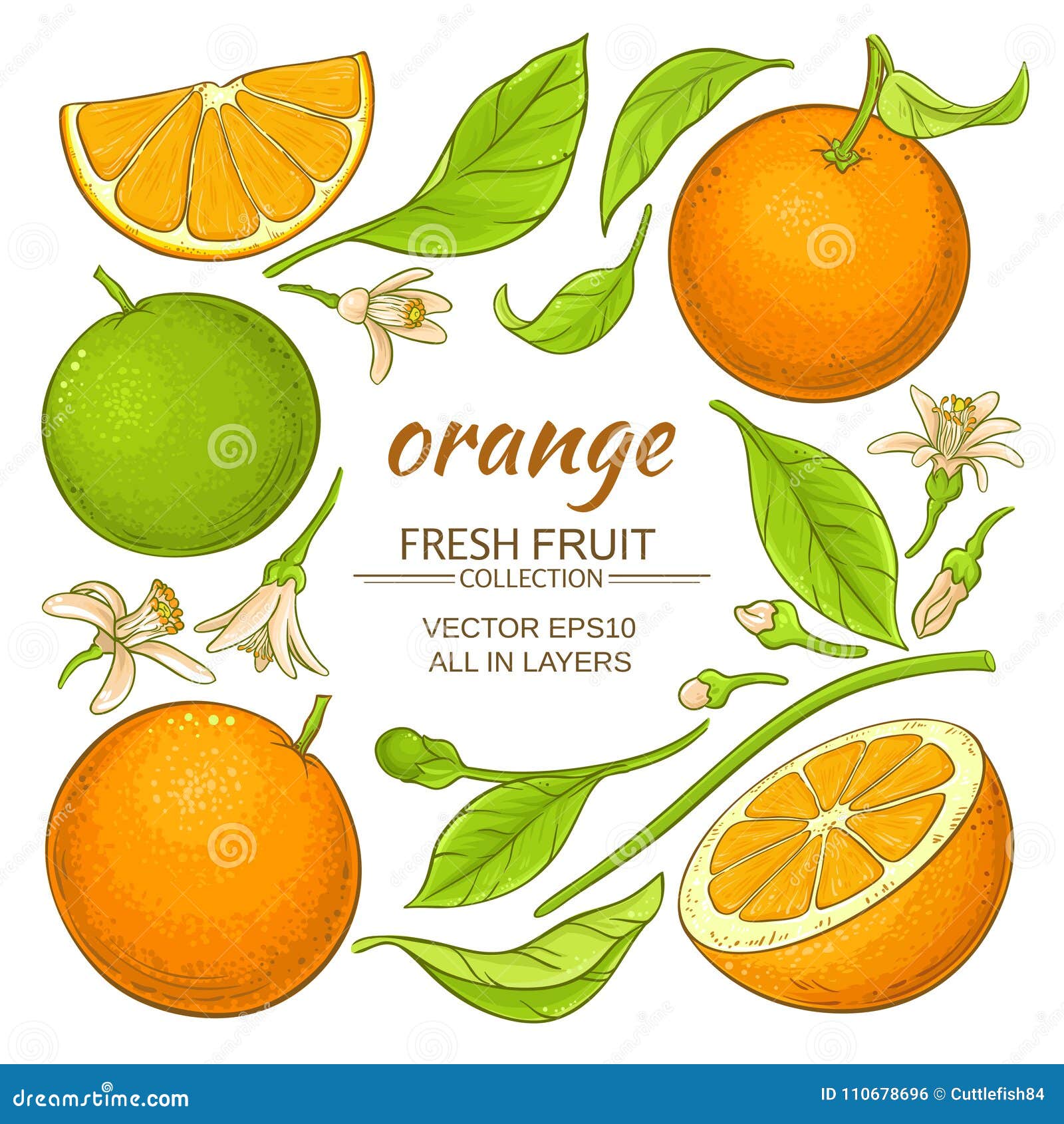 Orange elements set stock vector. Illustration of group - 110678696