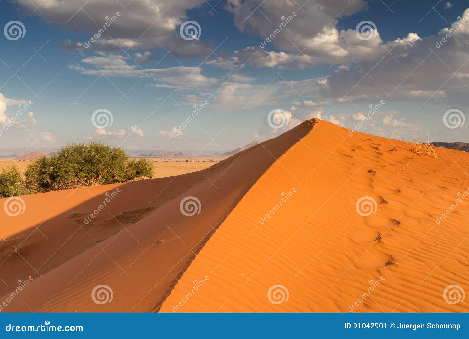 Orange Elim Dune at Sossusvlei Stock Image - Image of namib, desert ...