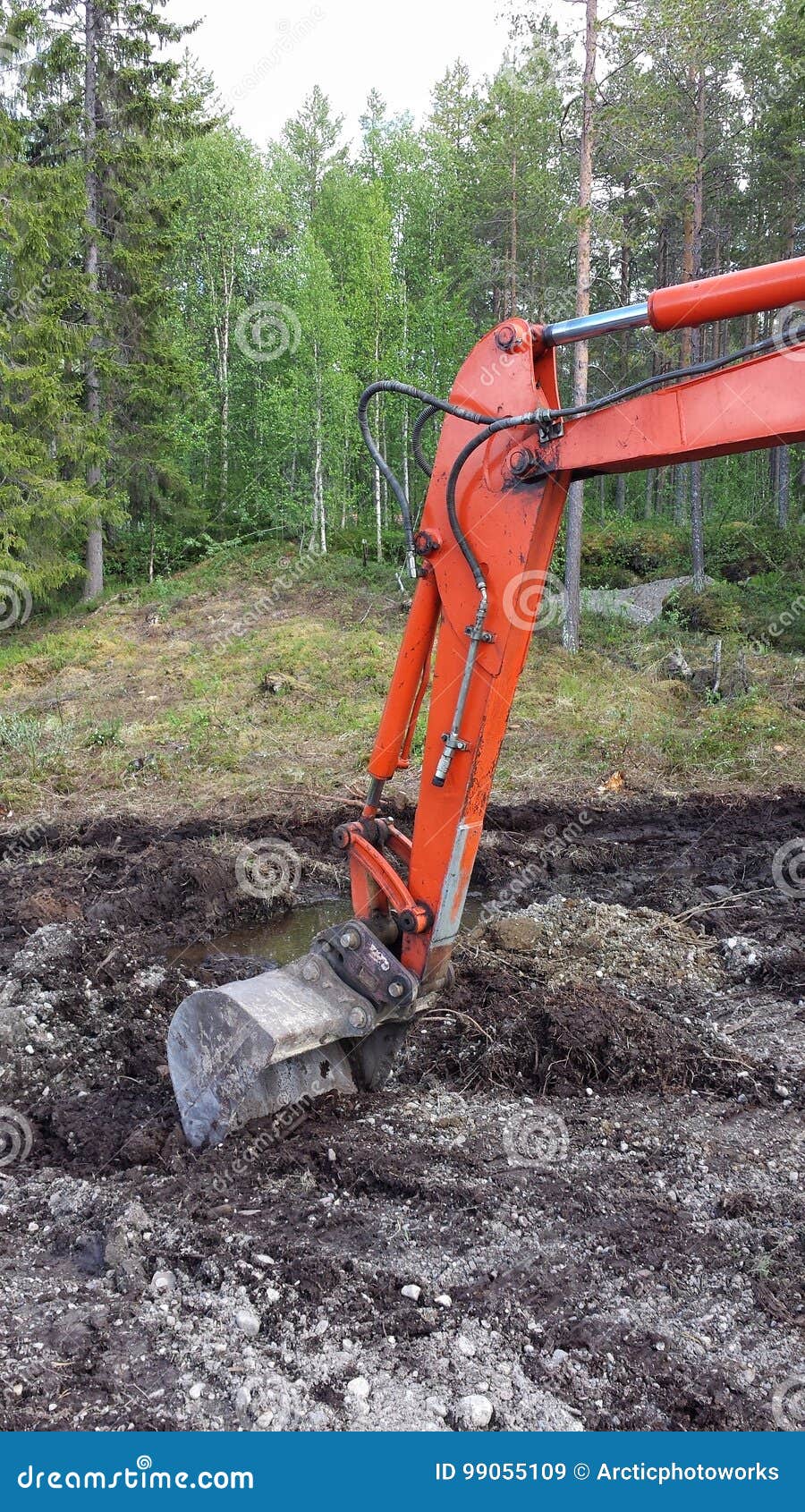 Orange Excavator Arm Digging in Mud Stock Image - Image of hole, tree ...