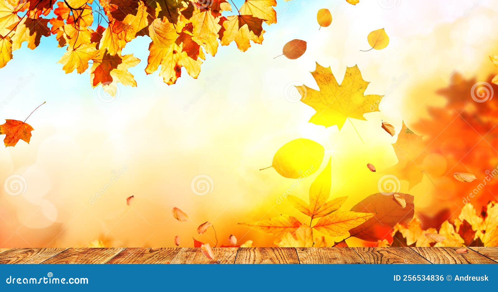 Orange Fall Leaves, Autumn Natural Background Stock Photo - Image of ...