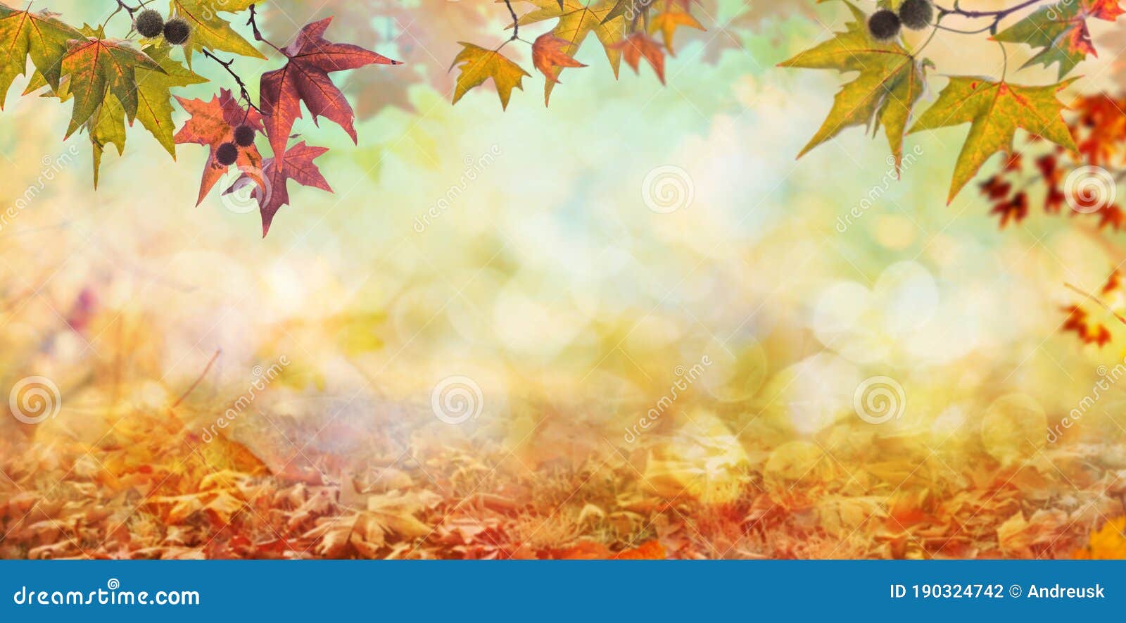 Orange Fall Leaves, Autumn Natural Background with Maple Trees Stock ...