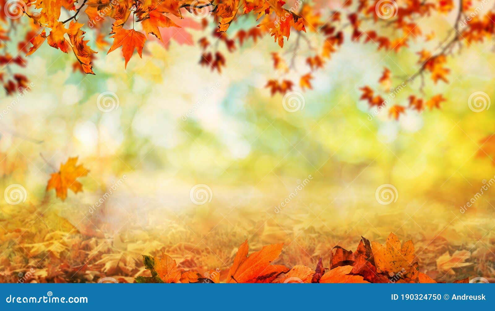 Orange Fall Leaves, Autumn Natural Background with Maple Trees Stock ...