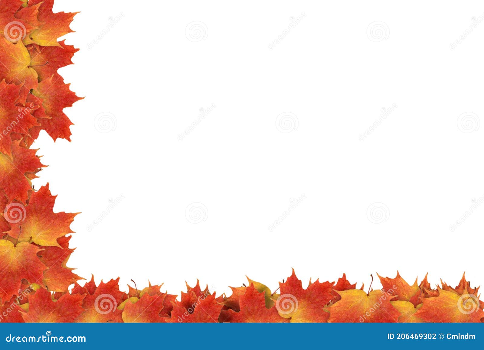 Orange Fall Leaves Border Frame Stock Photo - Image of september, color ...