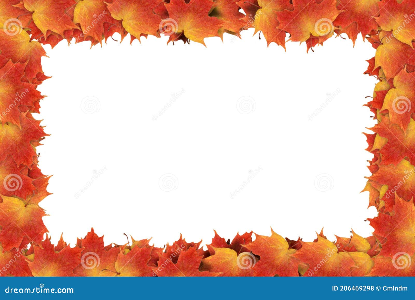 Orange Fall Leaves Full Border Frame Stock Photo - Image of colorful ...