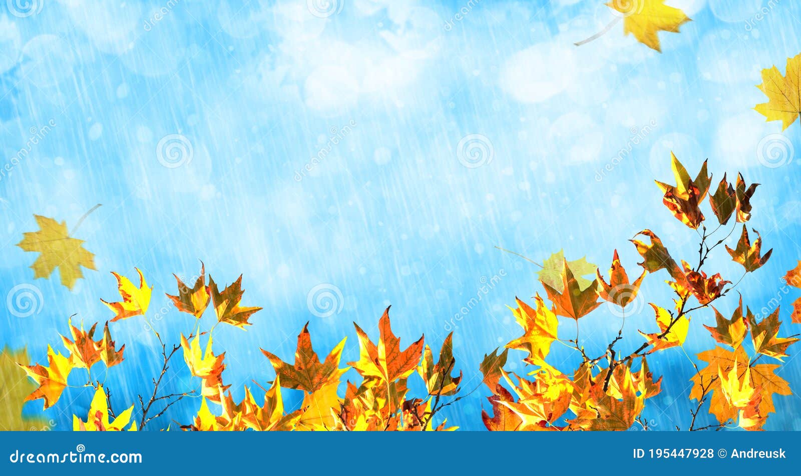 An Orange Fall Leaves and Rain, Autumn Natural Background Stock Photo ...