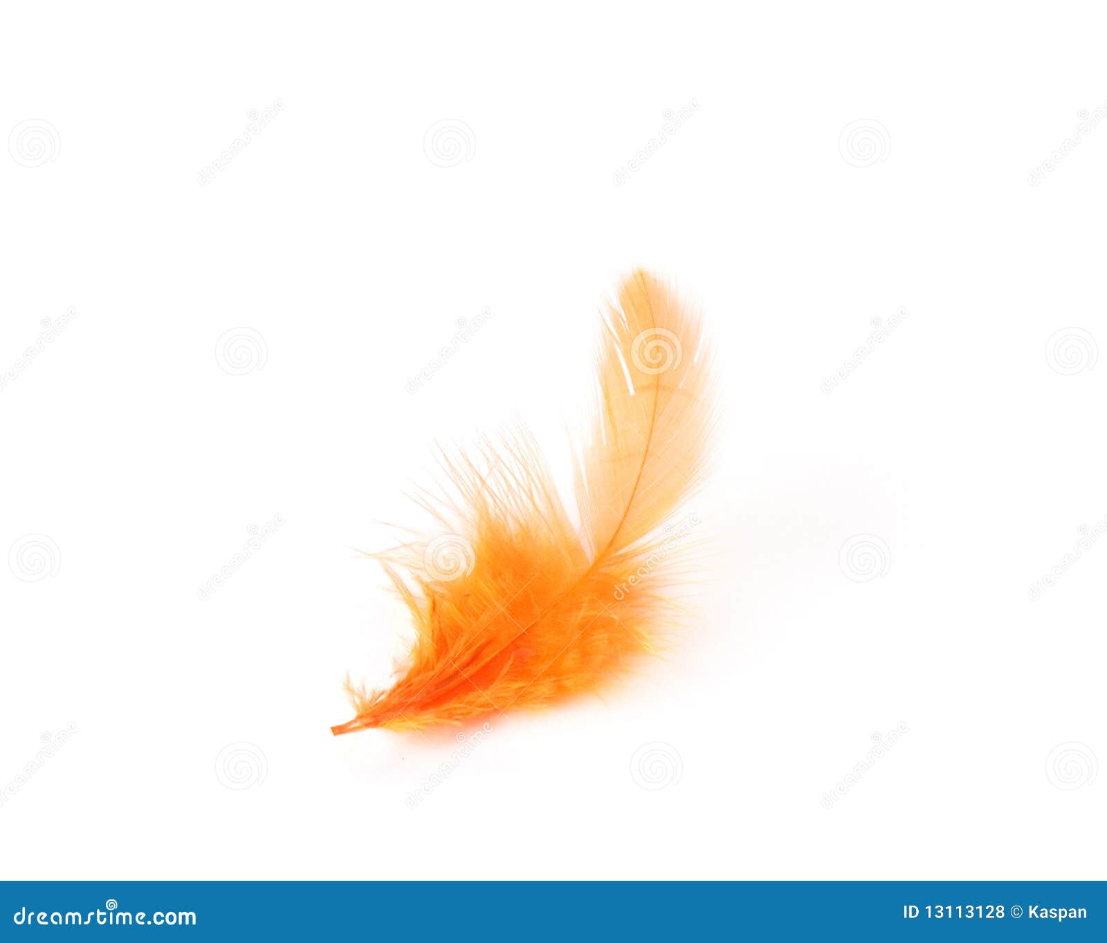 Orange feather stock photo. Image of soft, soften, bird - 13113128