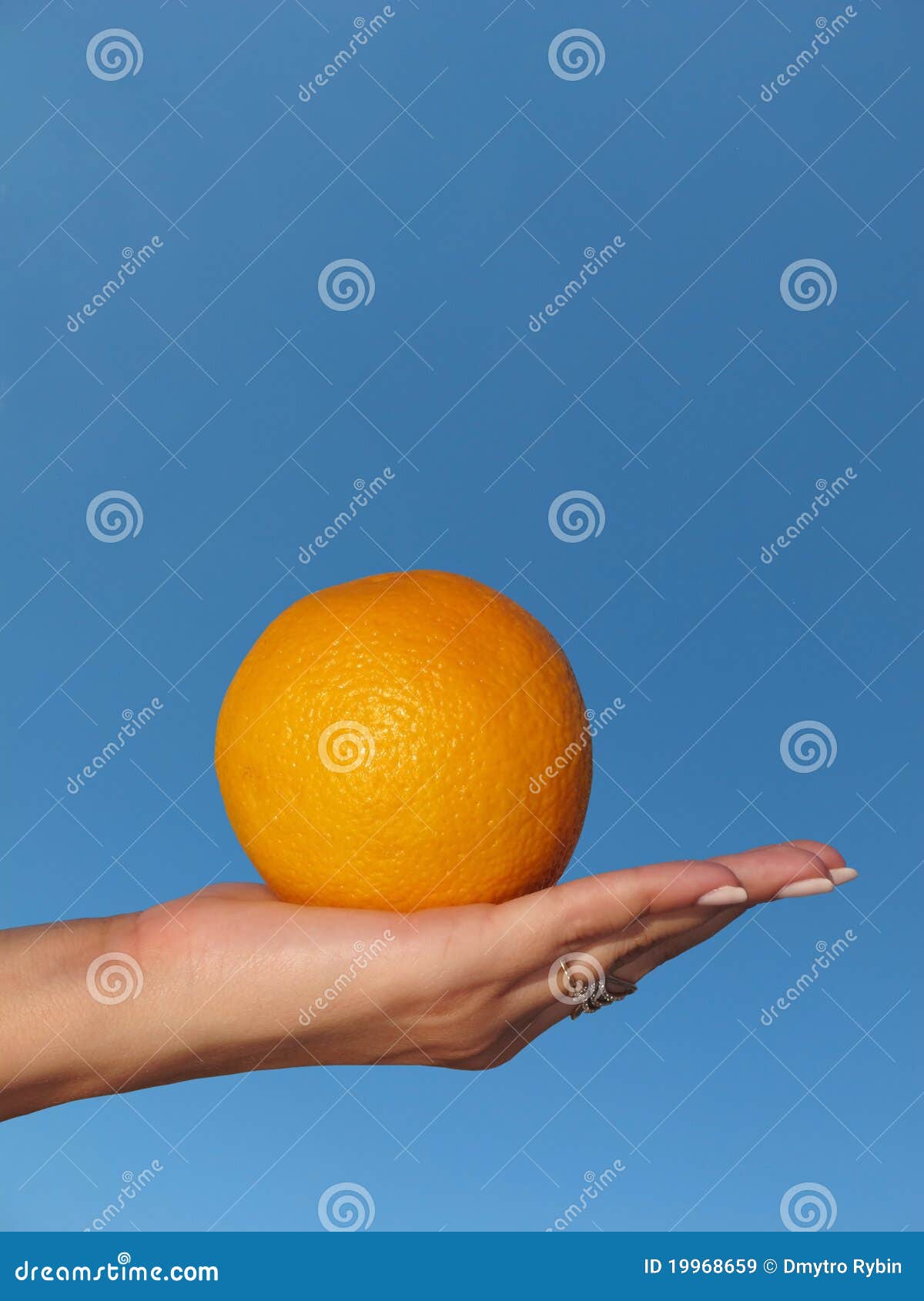 Orange in a female hand stock image. Image of fresh, citrus - 19968659
