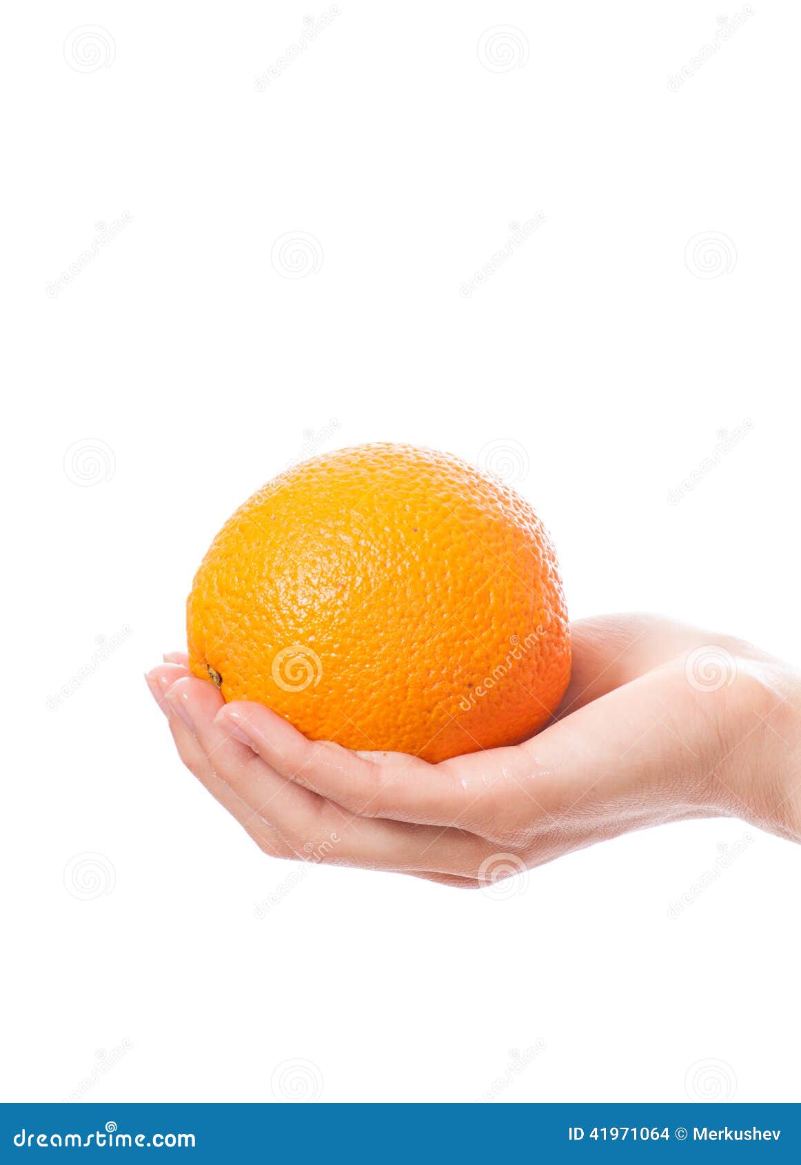 Orange in a female hand stock photo. Image of white, hand - 41971064