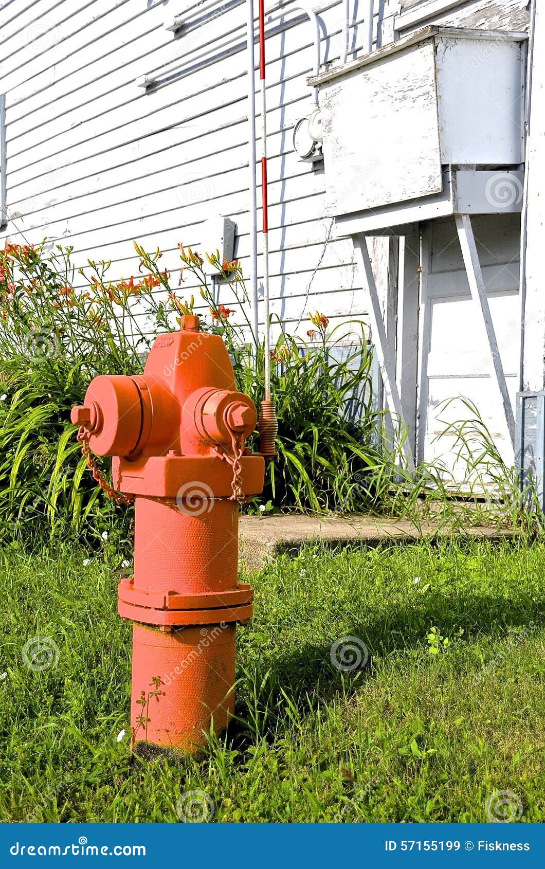 Orange fire hydrant stock image. Image of backdrop, tiger - 57155199