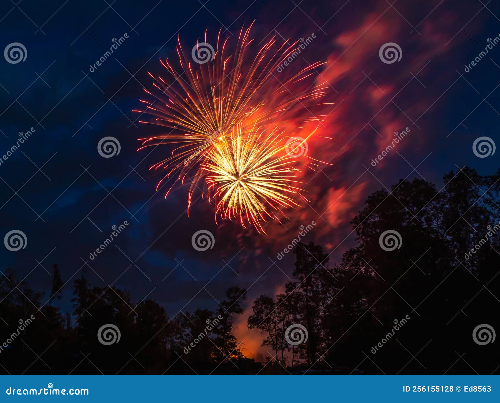 Orange Fireworks Exploding Over Trees Stock Photo - Image of ...