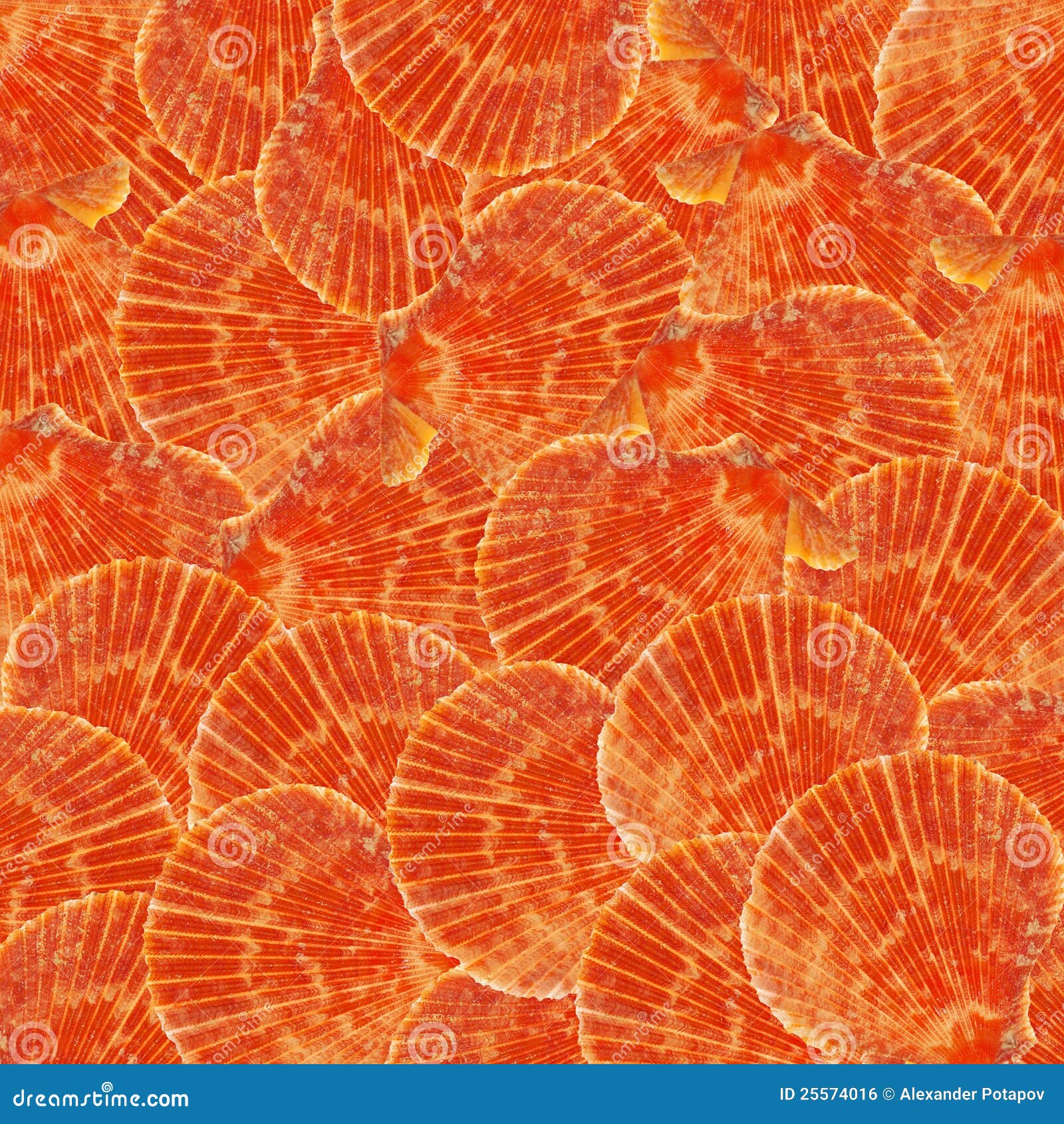 Orange Flat Shellfishes Background Stock Photo - Image of shellfish ...