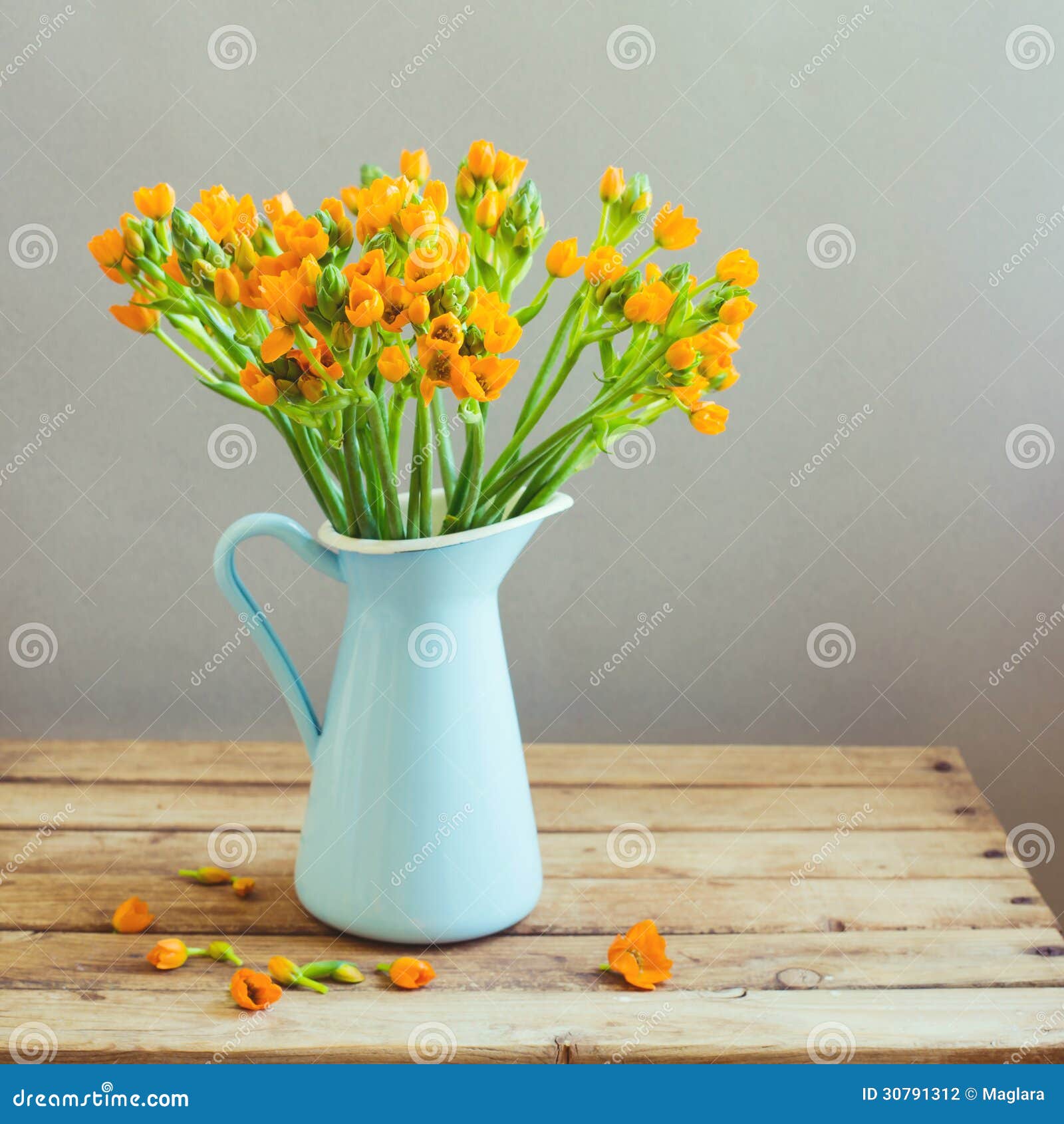 Orange flowers in blue jug stock photo. Image of cover - 30791312
