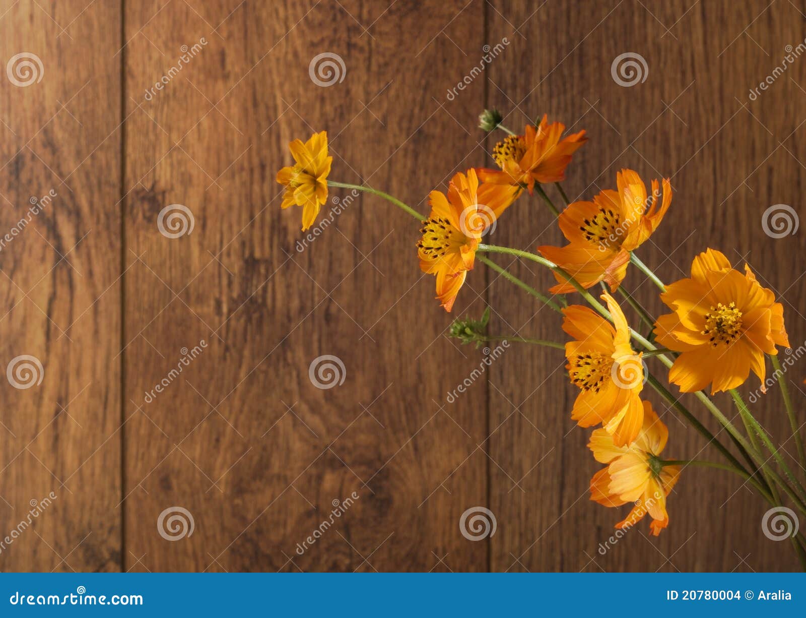 Orange Flowers on Wood Background Stock Photo - Image of plant, retro ...