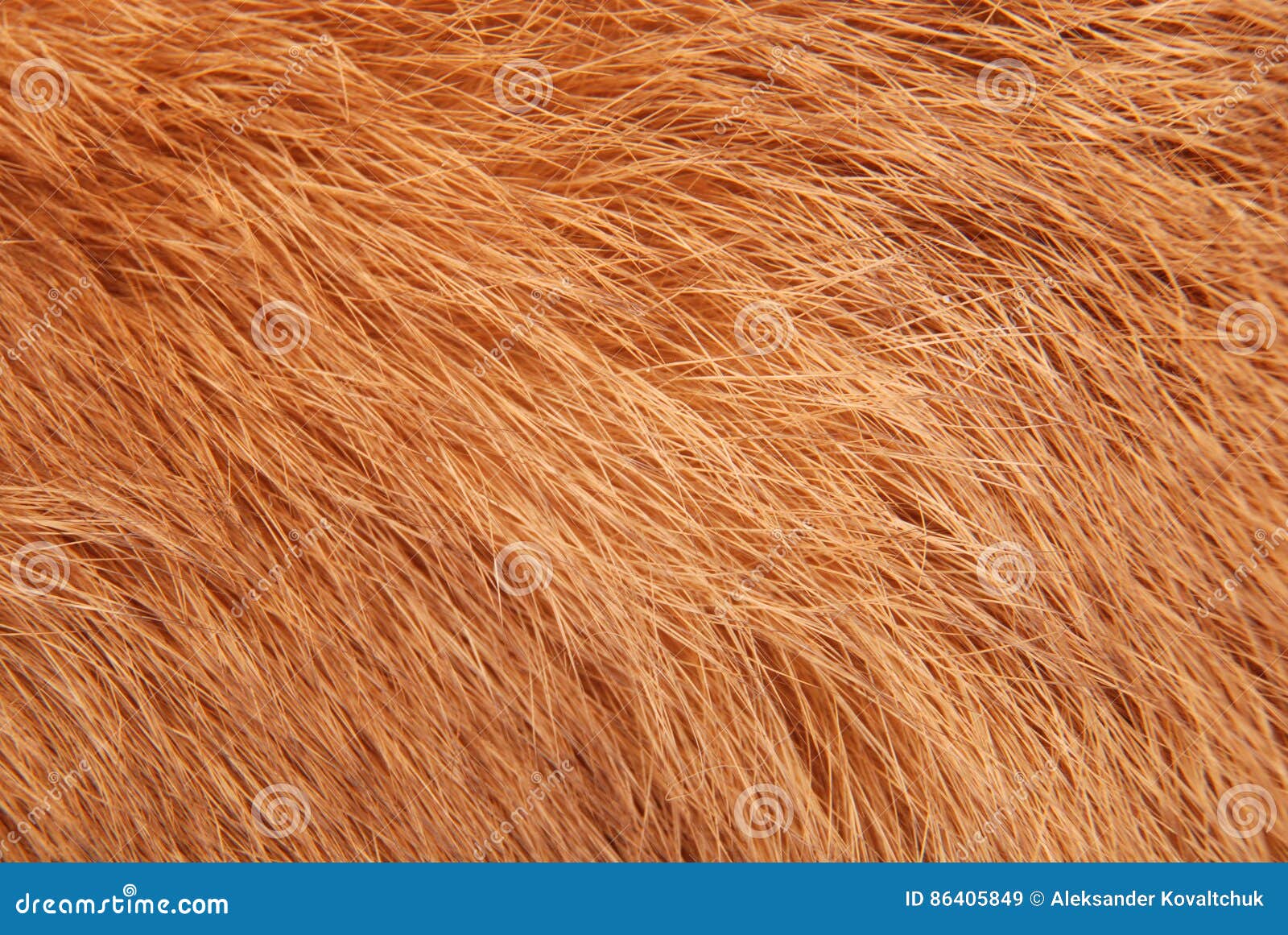 Orange Rabbit Fur As Background Stock Image - Image of texture, elegant ...