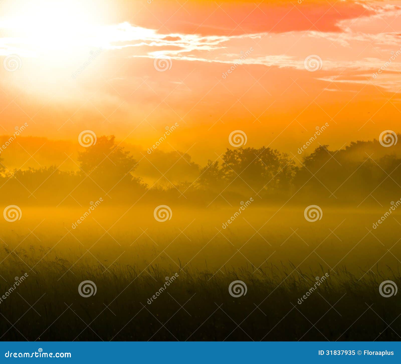 Orange fog stock image. Image of beauty, background, haze - 31837935