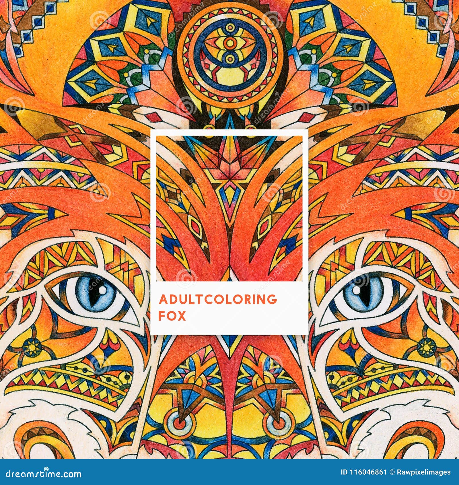 Orange Fox Adult Coloring Illustration Stock Illustration ...