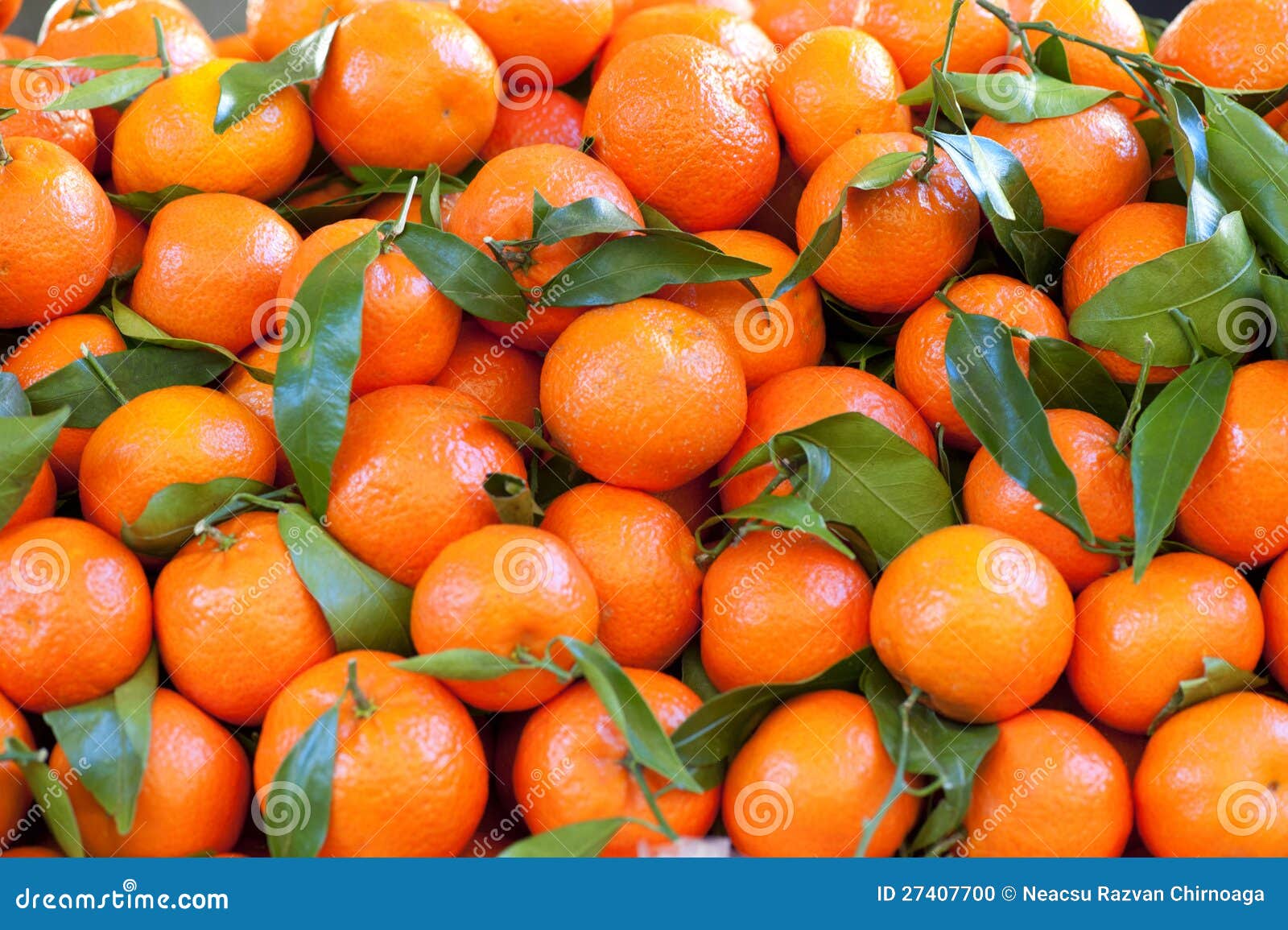 Orange Früchte stockfoto. Bild von frucht, auszug, nave - 27407700