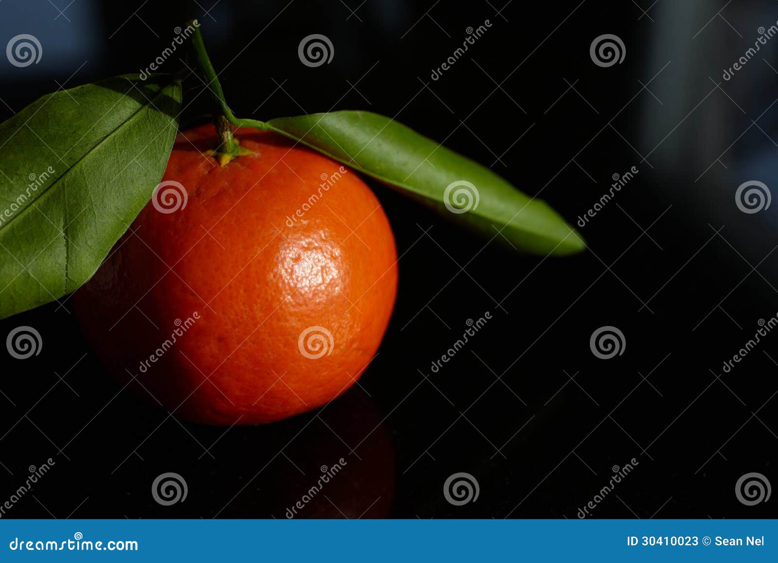 Orange stock image. Image of leaves, orange, stem, green - 30410023