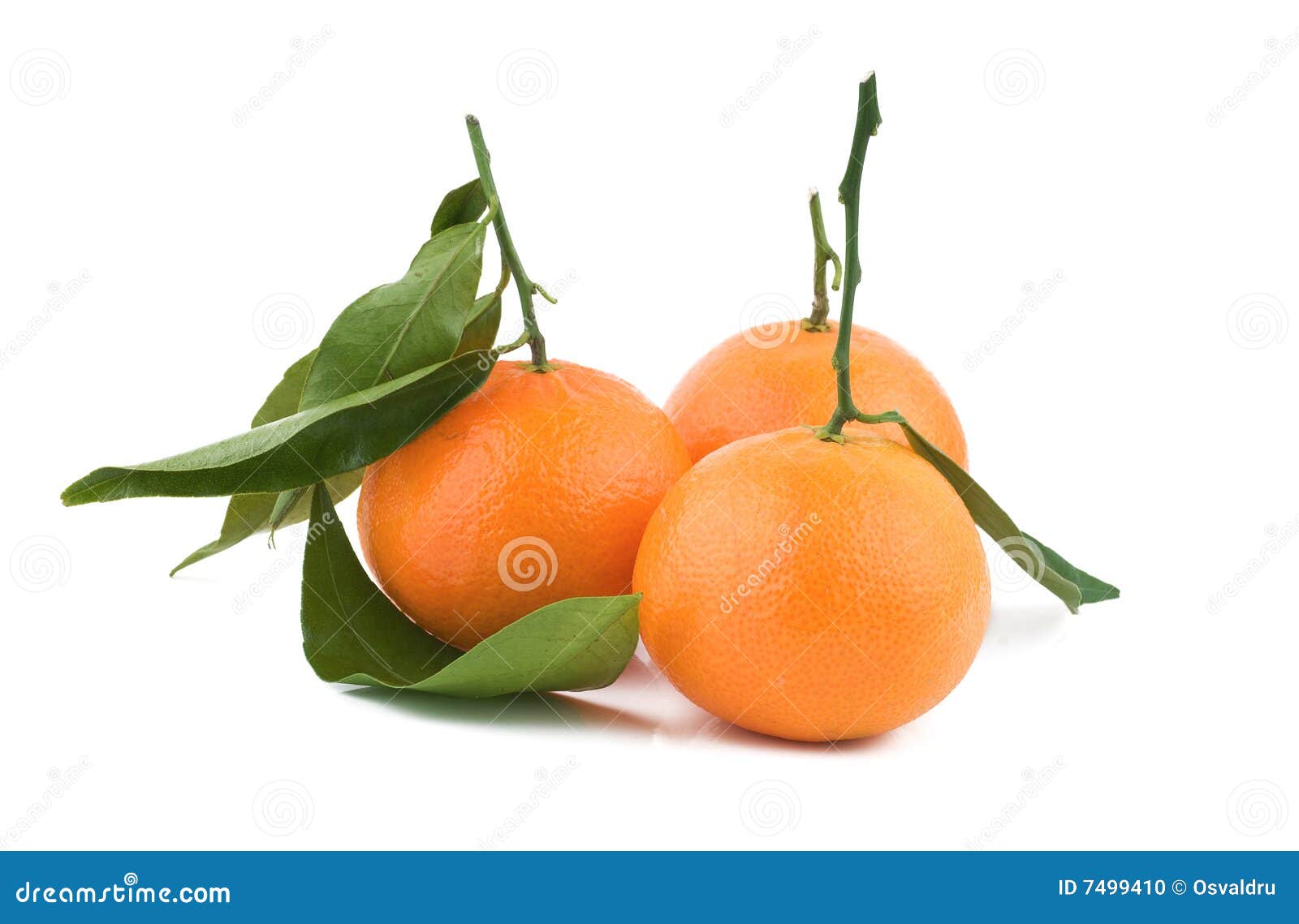 Orange Fresh Tangerines with a Stem and Leaves Stock Photo - Image of ...