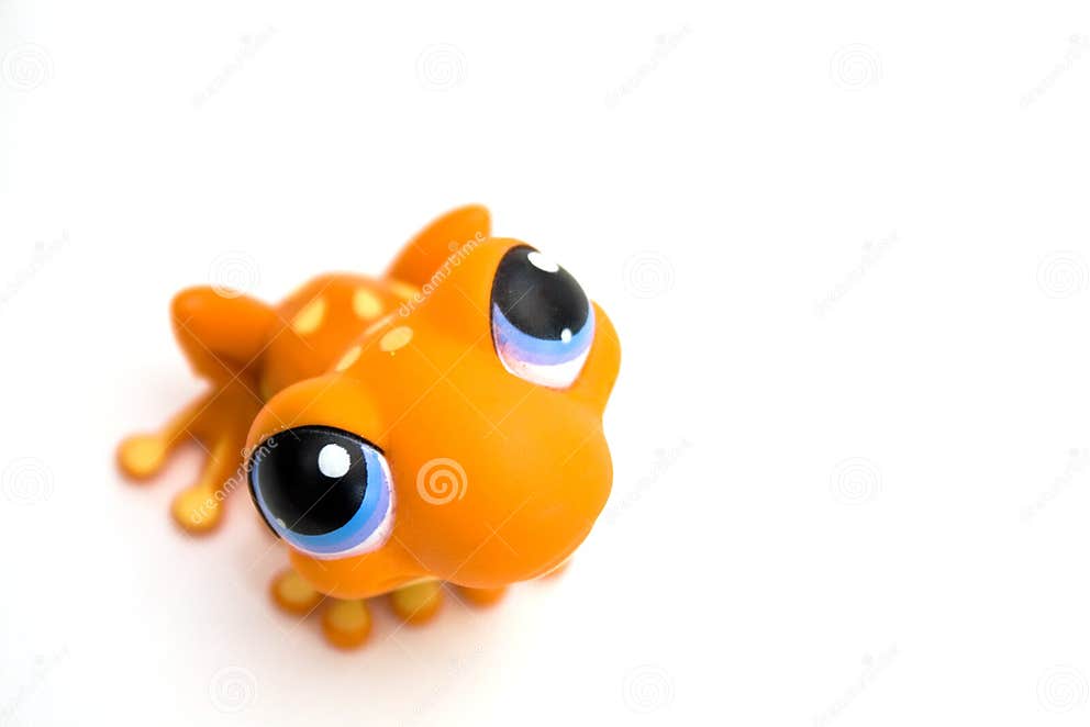 Orange frog toy stock photo. Image of reptiles, eyes, orange - 4924122