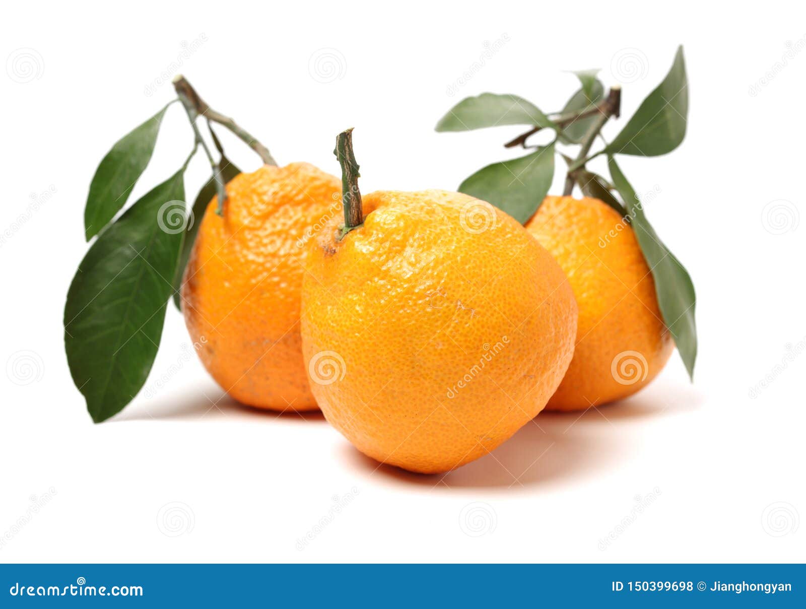 Orange Frucht stockfoto. Bild von blatt, gruppe, mandarine - 150399698