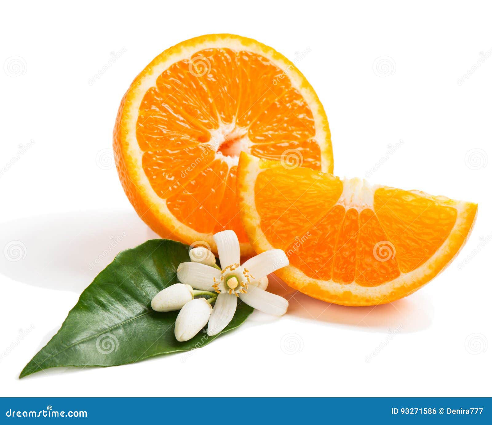 Orange fruit and blossom stock photo. Image of orange - 93271586