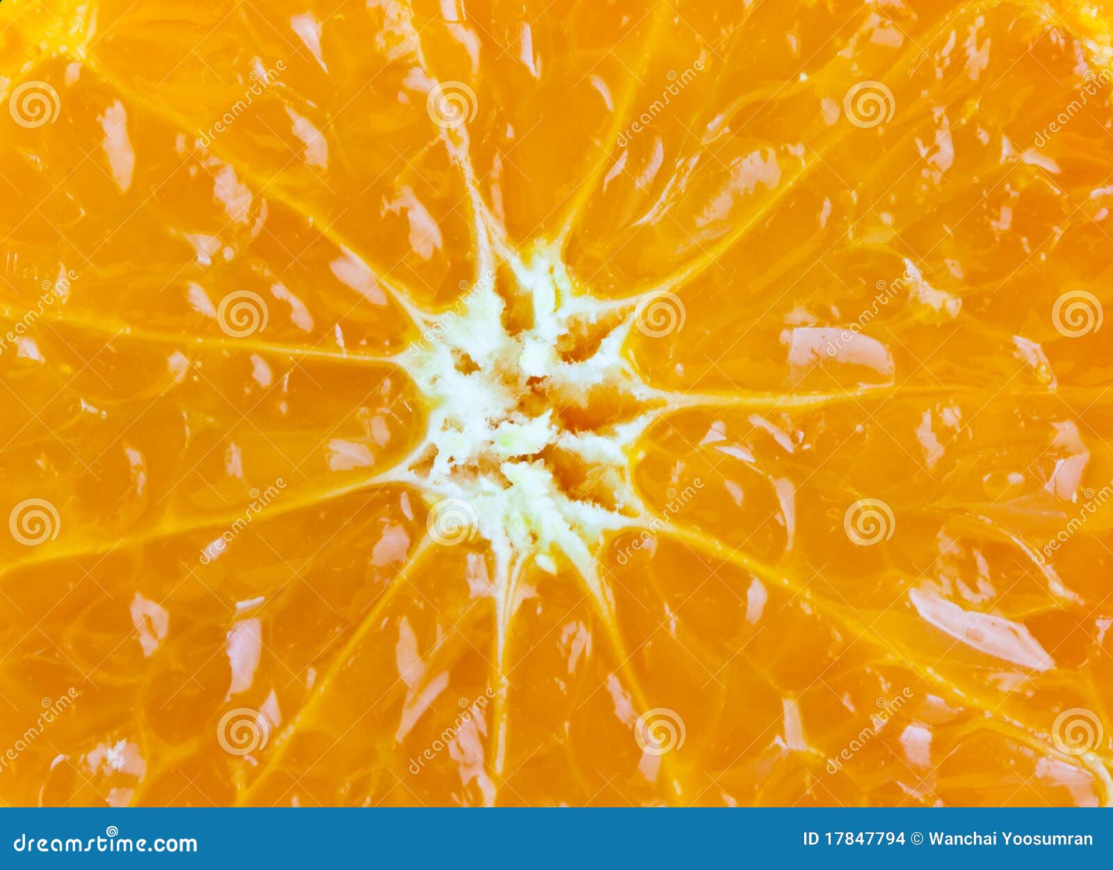 Orange fruit close up stock photo. Image of fruity, macro - 17847794