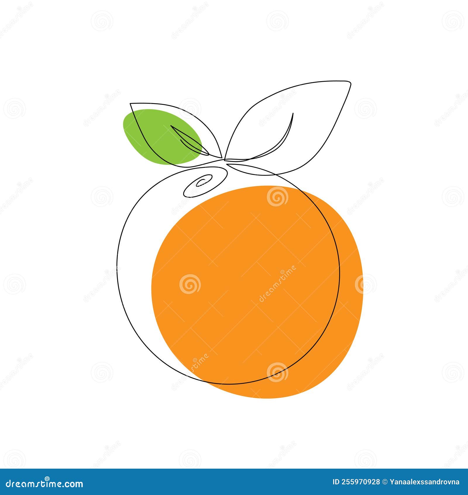 Orange Fruit Line Drawing Orange Fruit Outline Vector Images (over