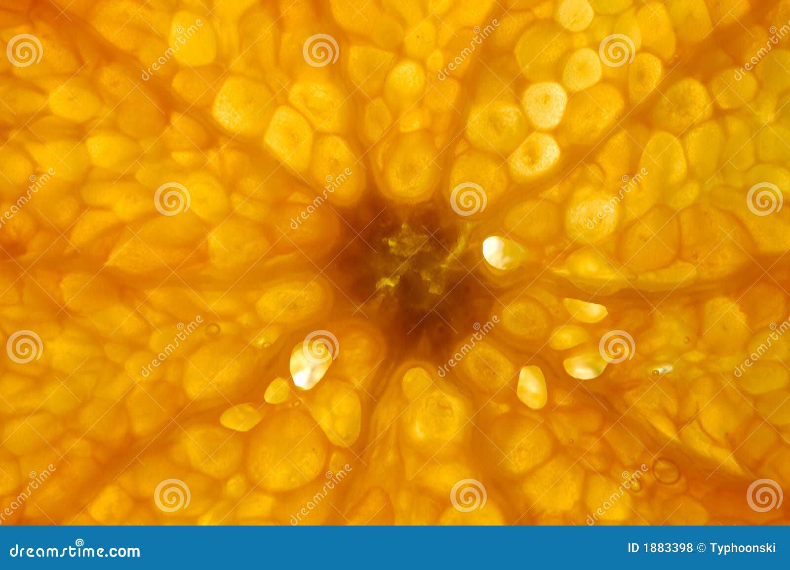 Orange Fruit Extreme Close-up Stock Photo - Image of freshness, soft ...