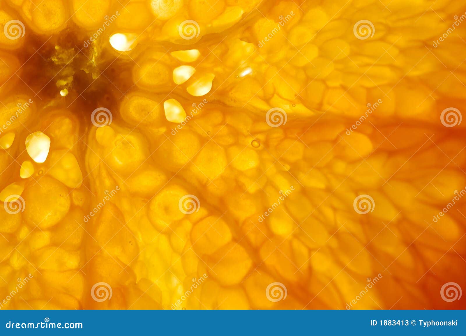 Orange Fruit Extreme Close-up Stock Image - Image of vitamin, macro ...