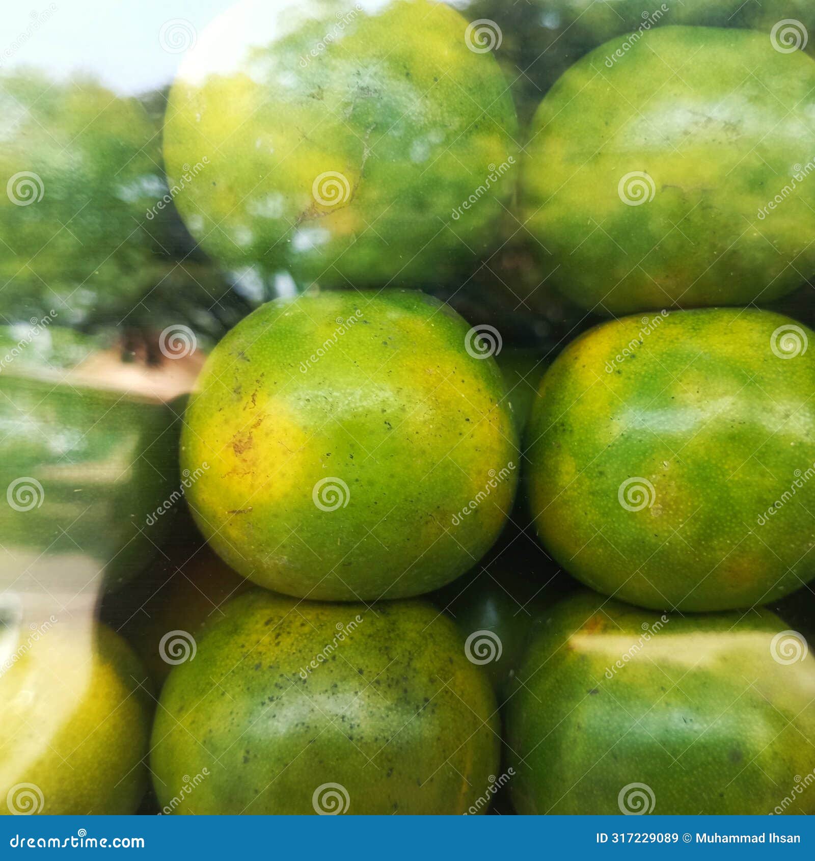 Orange Fruit in a Glass Display Case Selling Fruit Juice Stock Image ...