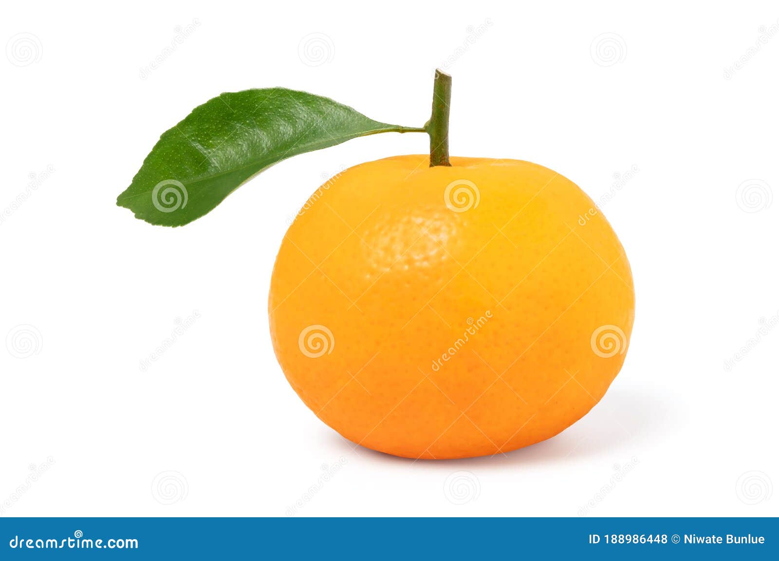 Orange Fruit with Green Leaf Stock Photo - Image of meal, object: 188986448