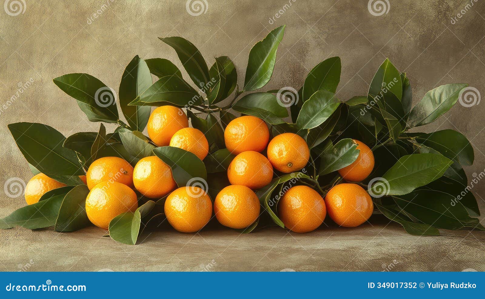 Orange Fruit with Green Leaves on Light Backdrop Stock Photo - Image of ...