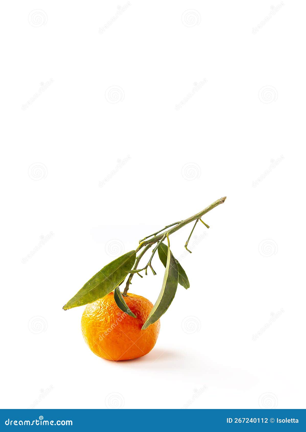 Orange Fruit with Green Leaves on White Background Stock Photo - Image ...