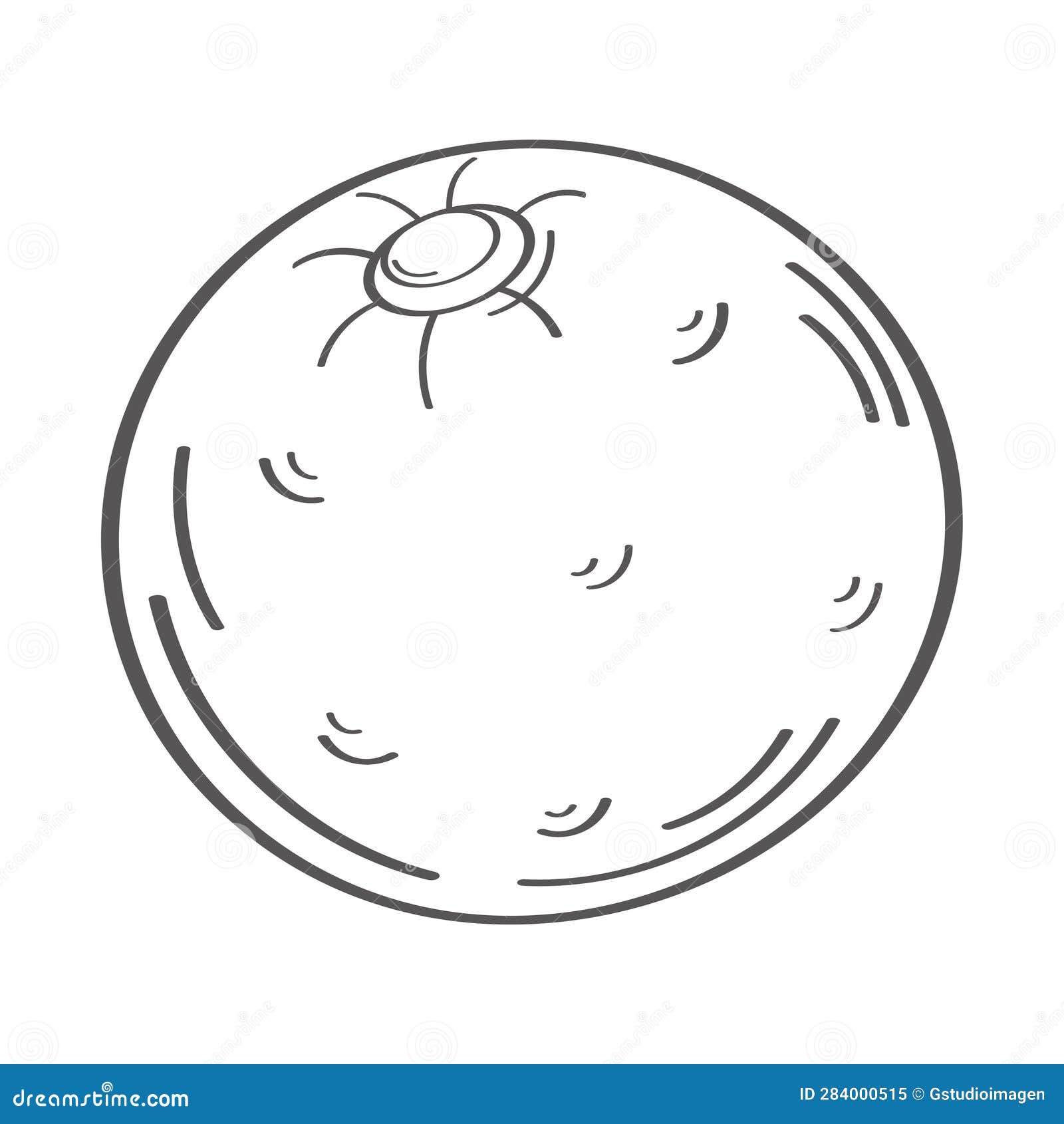 Orange fruit hand draw stock vector. Illustration of healthy - 284000515