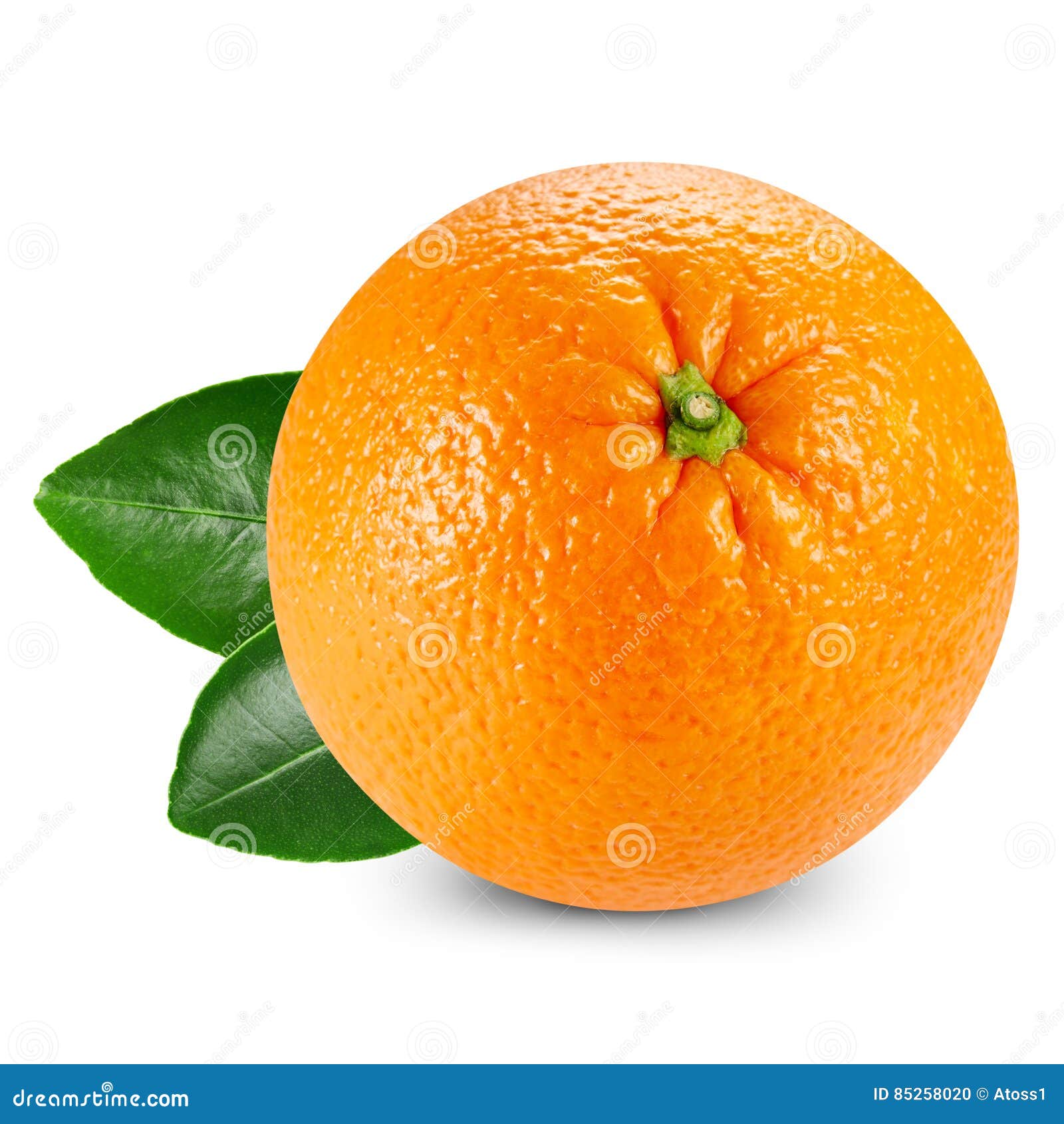 Orange fruit isolated stock photo. Image of citrus, closeup - 85258020