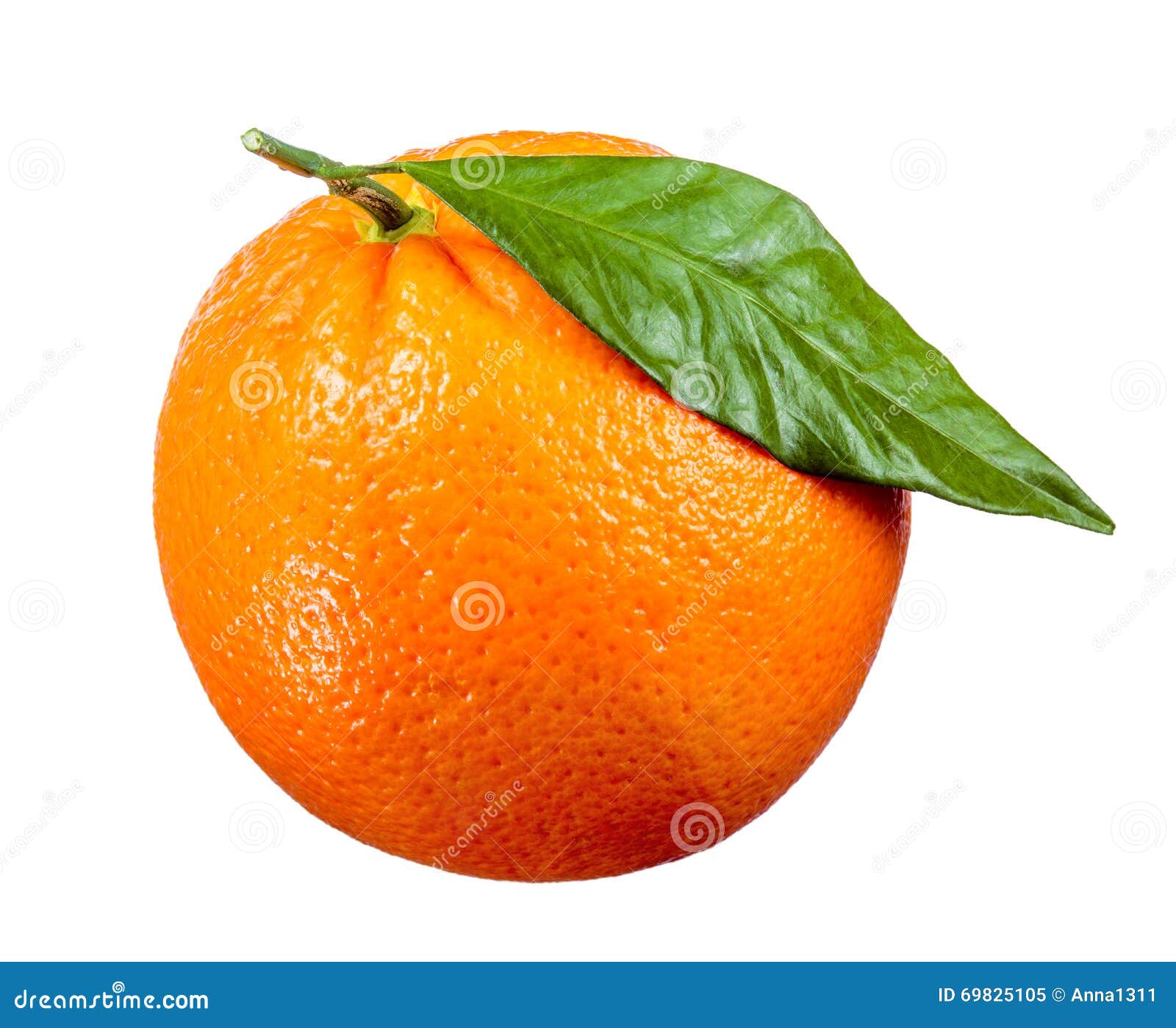 217,018 Orange Fruit Leaf Photos - Free & Royalty-Free Stock Photos ...