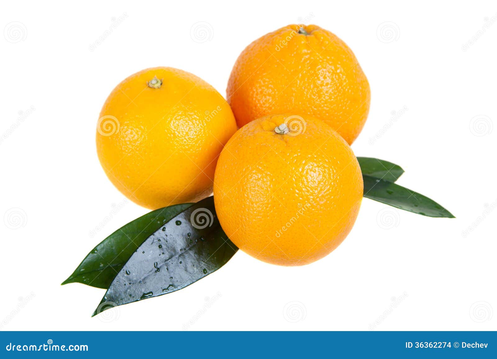 Orange fruit with leaves stock photo. Image of ripe, fruit - 36362274