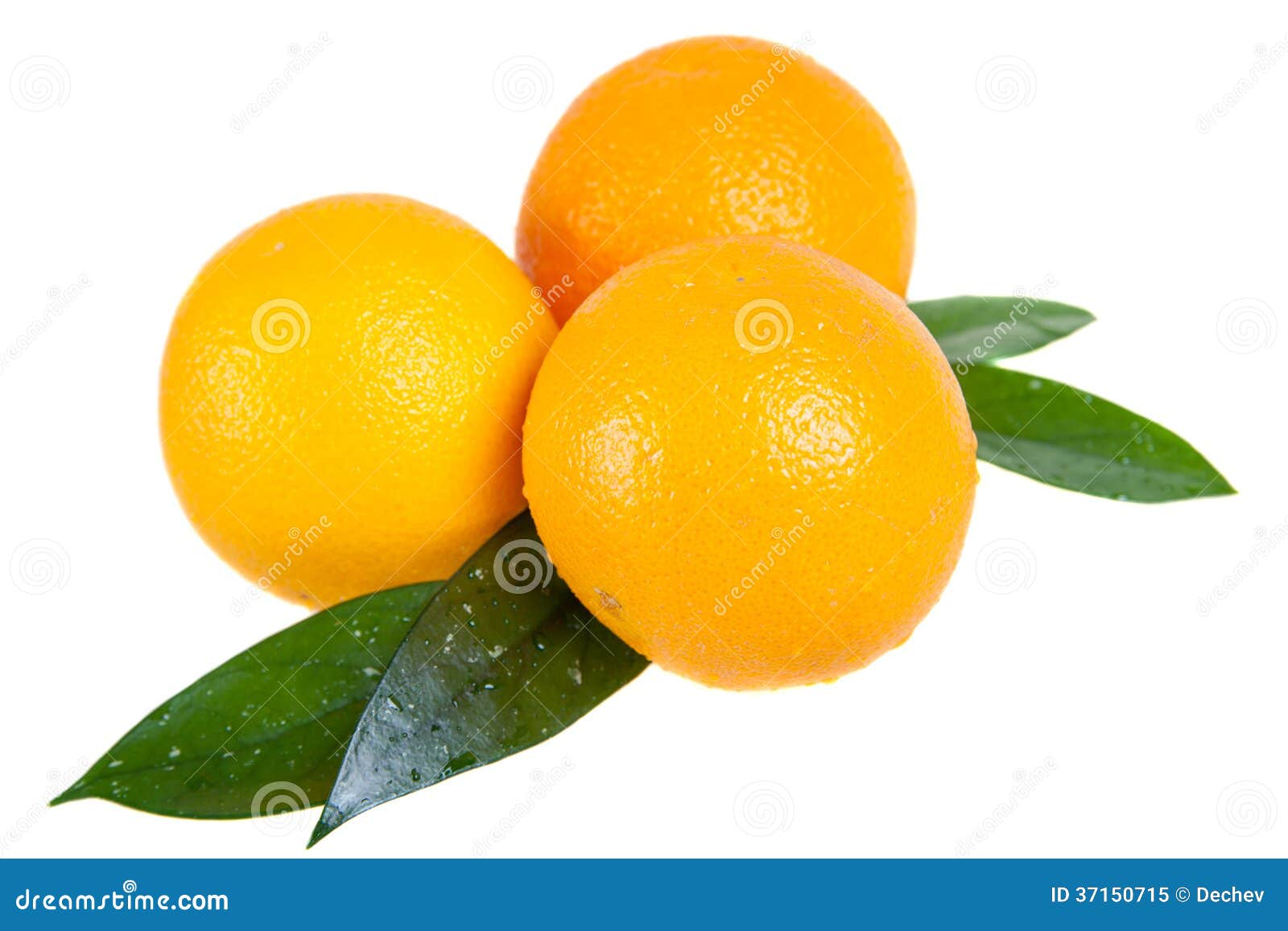 Orange fruit with leaves stock image. Image of oranges - 37150715